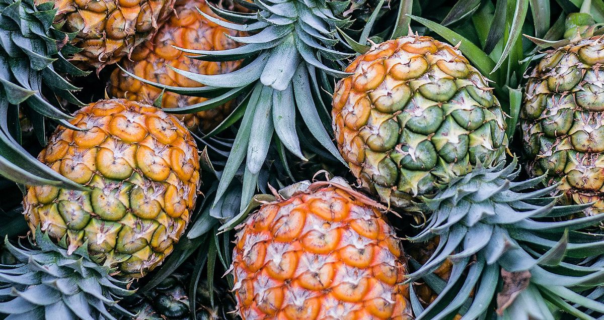 Actualités pour les importateurs de Bio Suisse