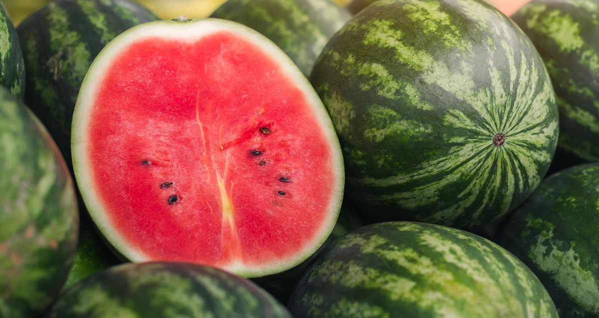 News für Bio Suisse Organic Betriebe