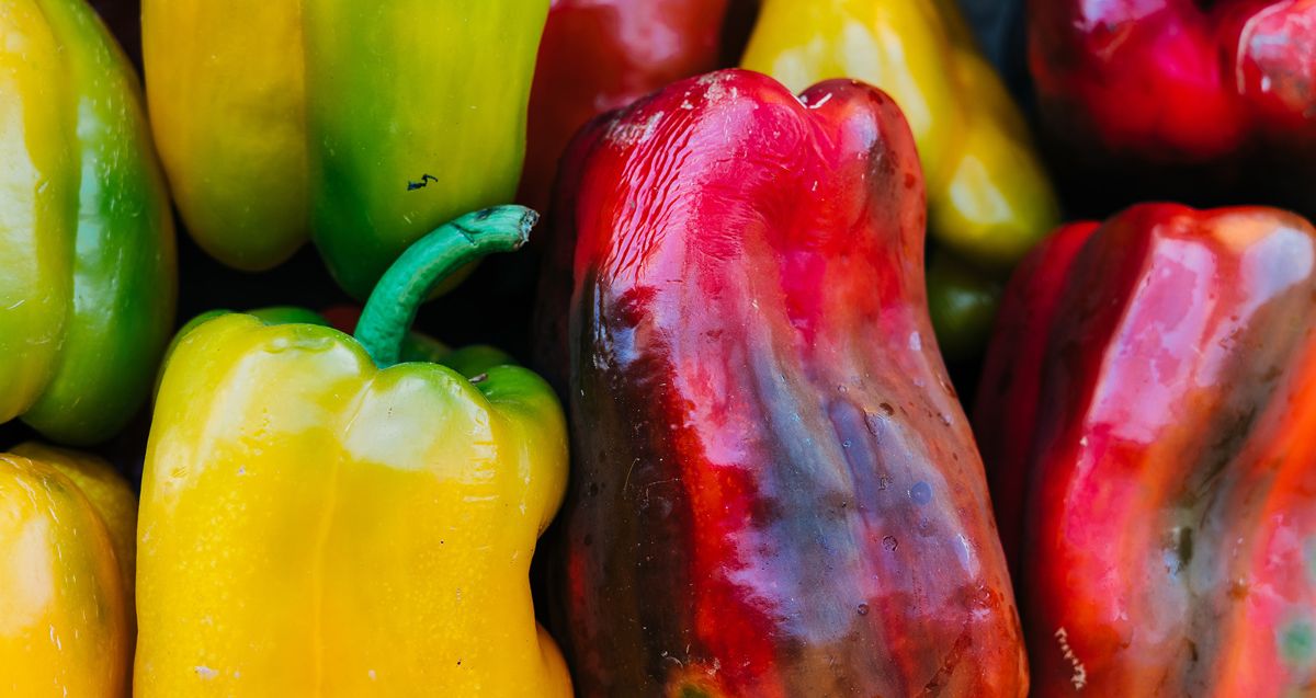 Bio Suisse y BIOSUISSE ORGANIC